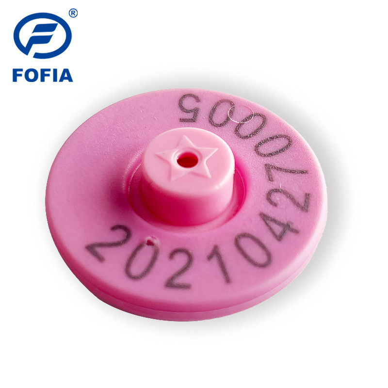 UHF RFID Animal Ear Tag For Pig Management | 960MHz Tracking Solution