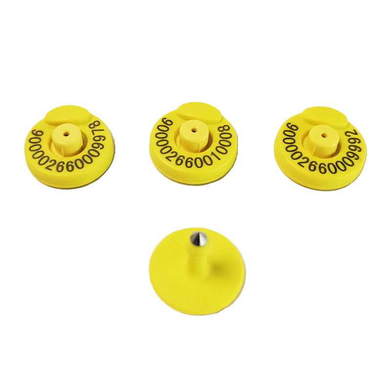 Revolutionize Your Livestock Identification With RFID Ear Tag Cattle ...