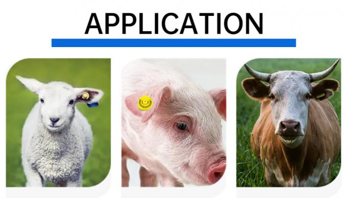 Maximize Efficiency with RFID Ear Tag cattle ear tags for Livestock ...