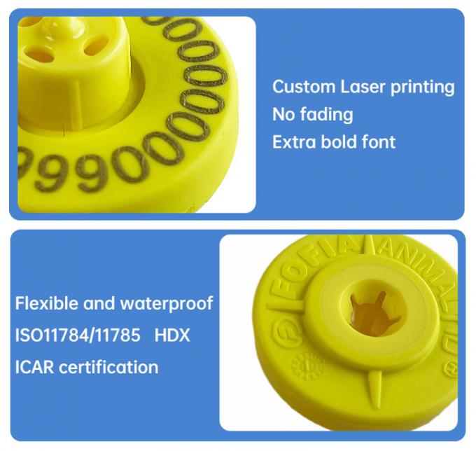 Maximize Efficiency with RFID Ear Tag cattle ear tags for Livestock ...