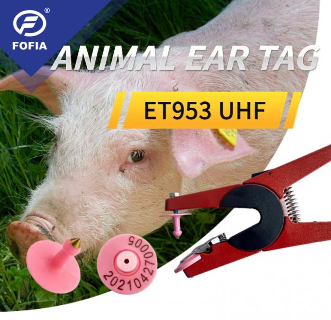 UHF Rfid Animal Ear Tag Pig Management 960MHz Anti Collision